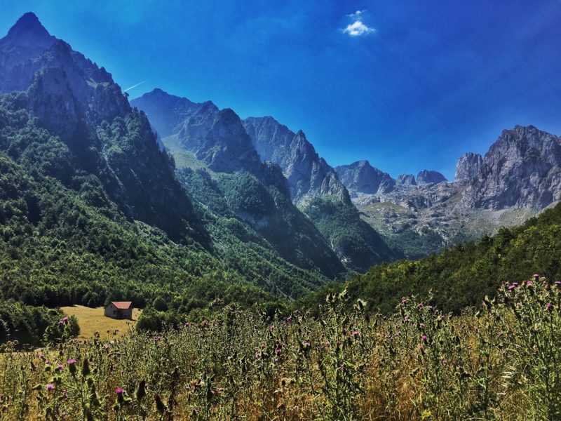 THE WILD JEWELS OF MONTENEGRO - INSIDERspot